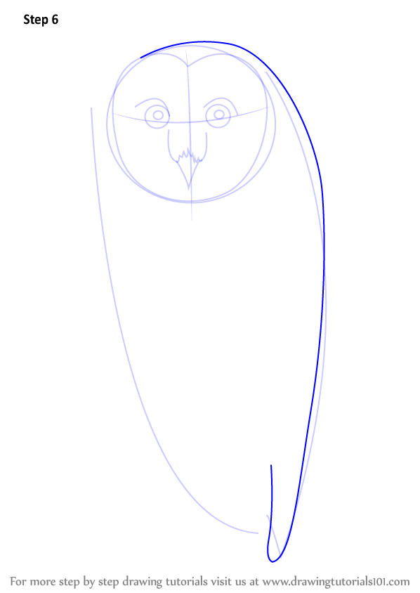How to Draw an Australian Masked Owl (Birds) Step by Step ...